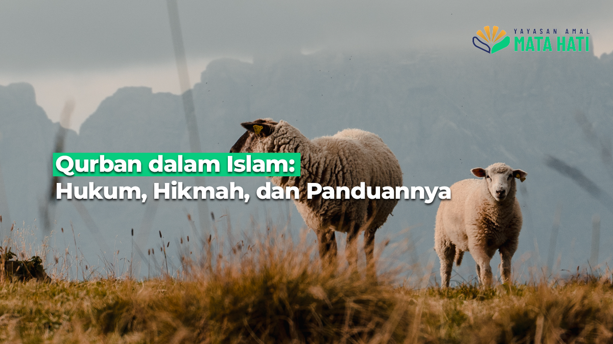 Qurban dalam Islam: Hukum, Hikmah, dan Panduannya | Yayasan Amal Mata Hati